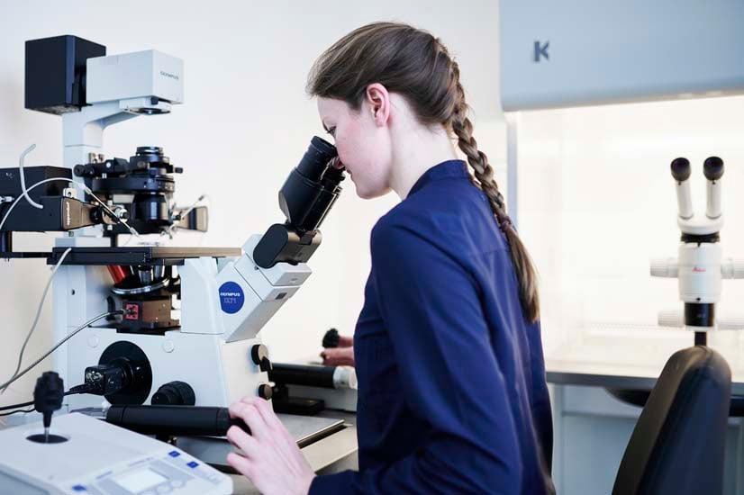 Embryo Vitrification: Freezing for Equine Embryos